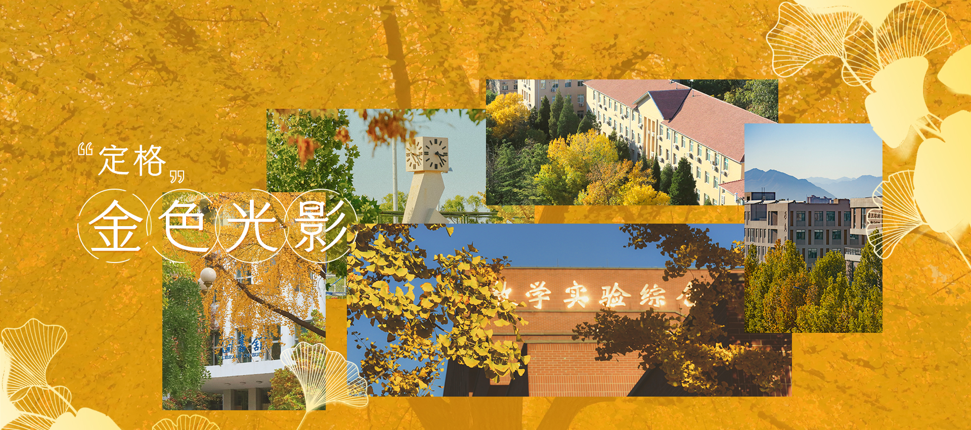 北京邮电大学